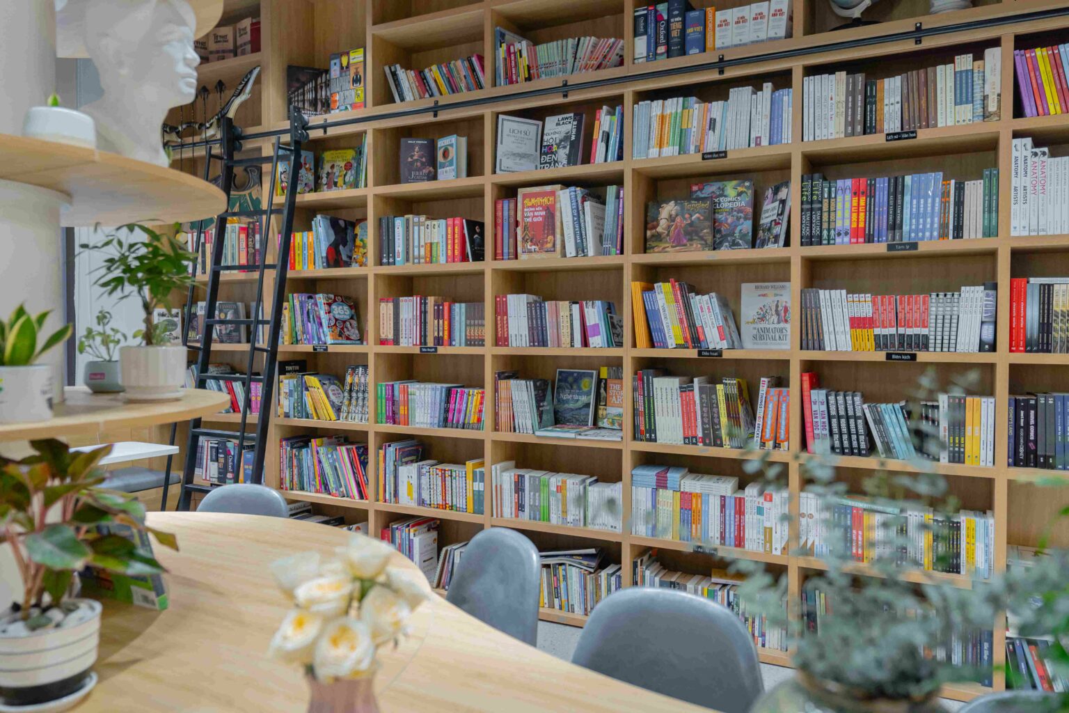 Sconnect Academy of Media Arts